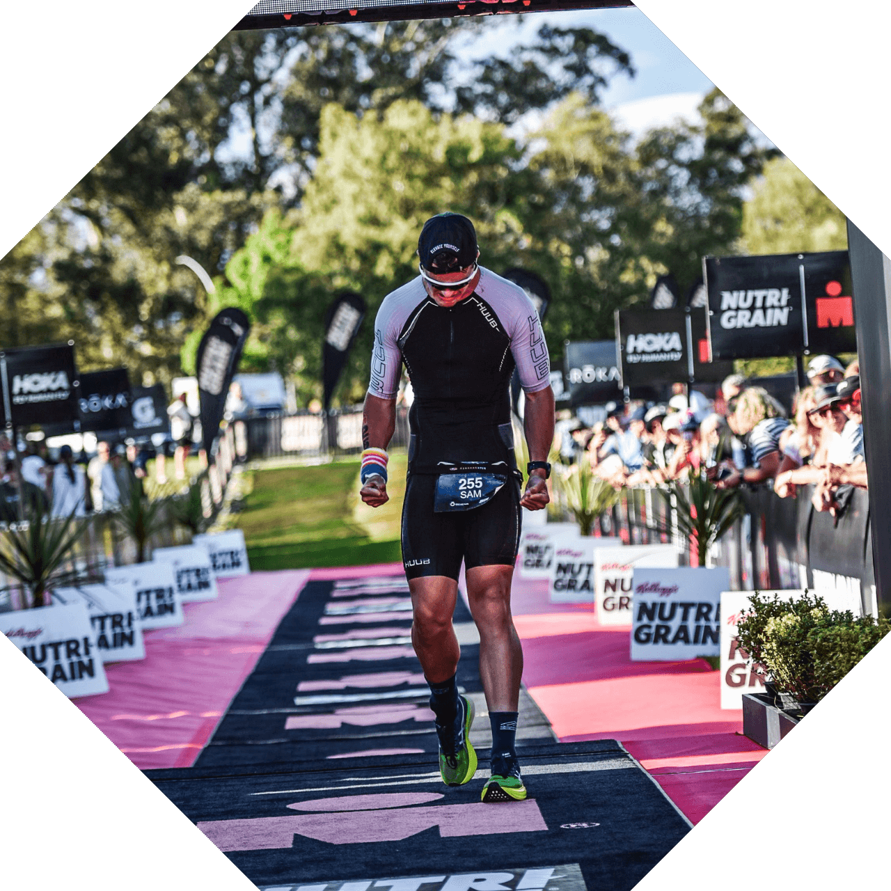 Home [elevate-coaching.co.nz]